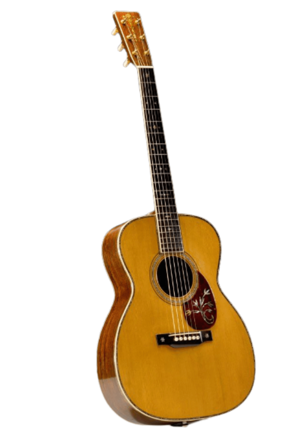 Top 30 Most Expensive Guitars In The World 2023 - Guitartwitt