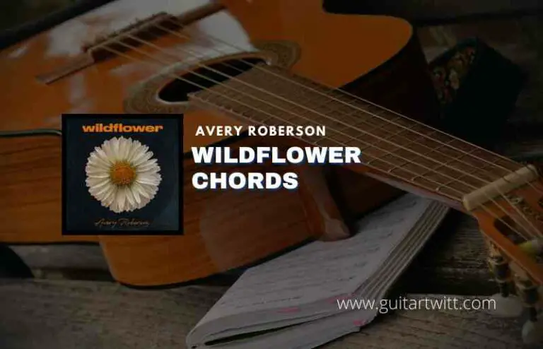 Wildflower Chords By Avery Roberson - Guitartwitt