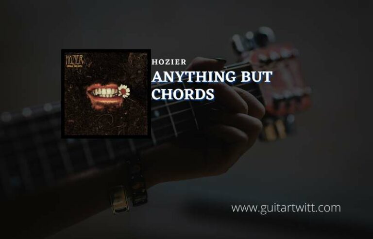 Anything But Chords By Hozier - Guitartwitt