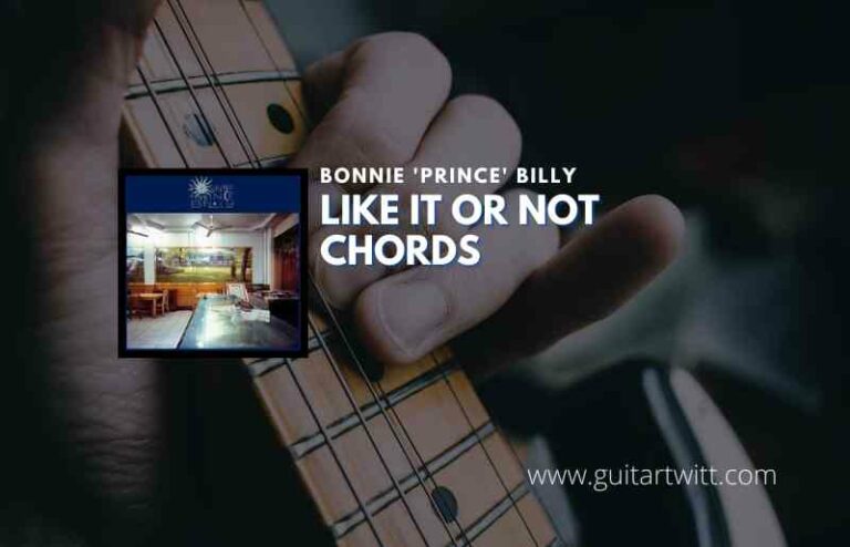 Like It Or Not Chords By Bonnie 'Prince' Billy - Guitartwitt