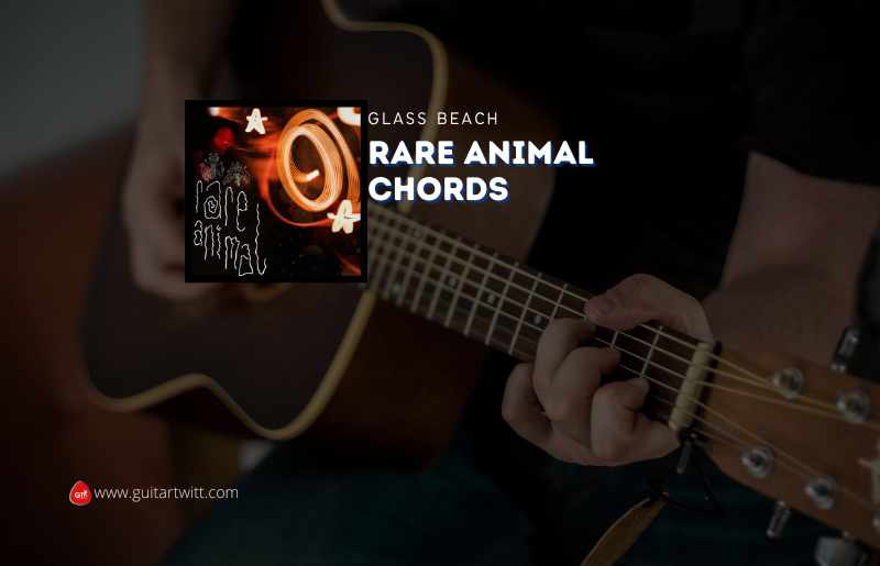 Rare Animal Chords By Glass Beach - Guitartwitt